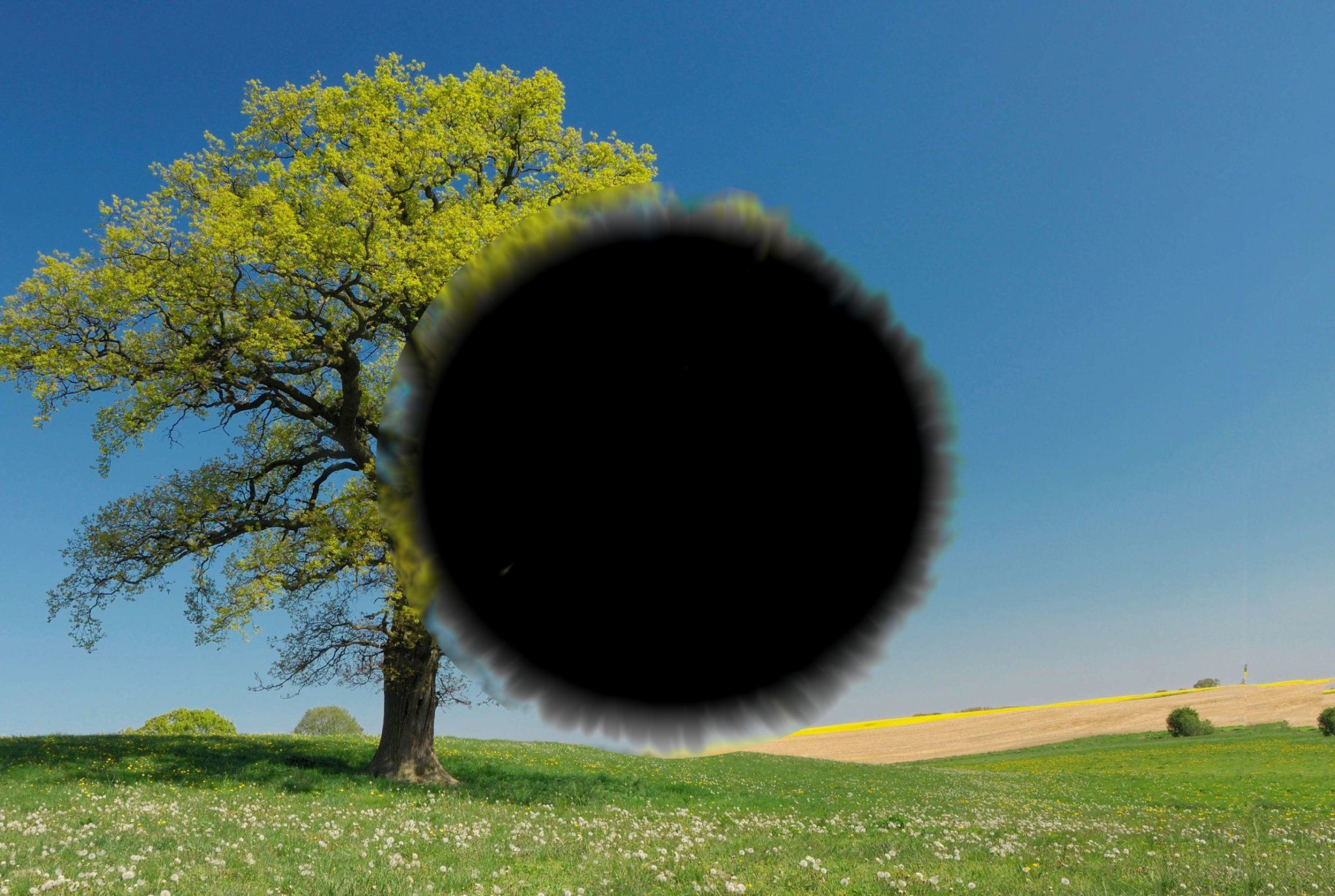 Dégénérescences maculaires liées à l'âge (DMLA) – Pôle Ophta Le Mans 72